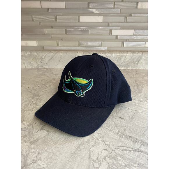 Logo Athletic | Accessories | Vintage Tampa Bay Devil Rays Snapback ...